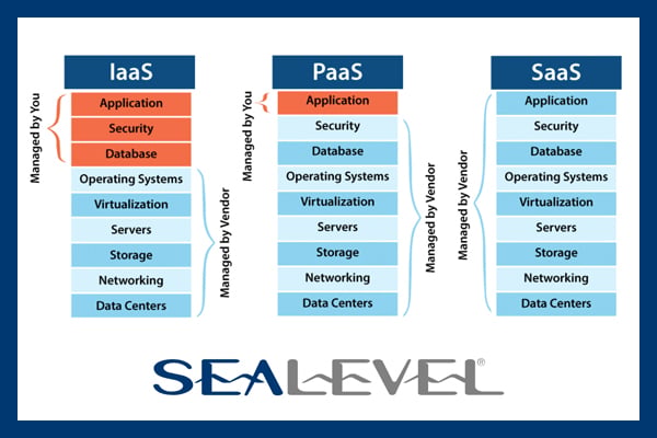 Cloud Computing: What’s Your Service? - White Paper