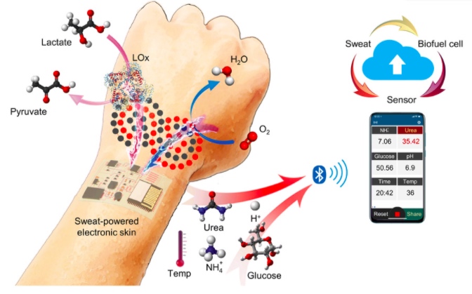 Powered by Human Sweat, A New Electronic Skin Can Send Biometrics via ...