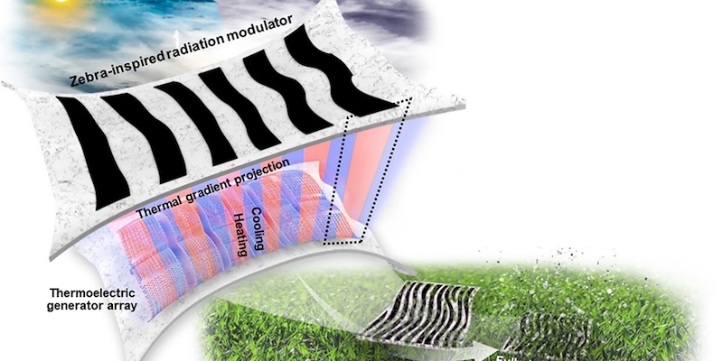 Inspired by Zebra Stripes, Researchers Solve Size Constraints of TEGs ...